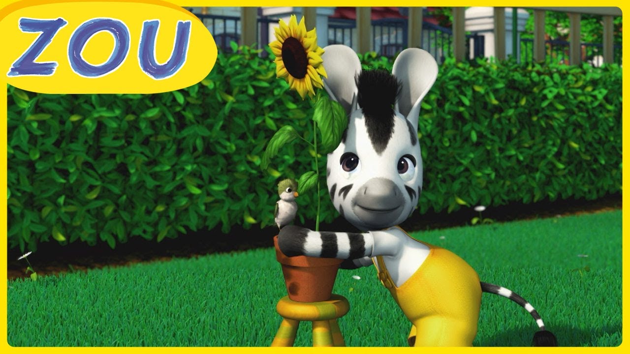 ZOU descubre la primavera | Compilación especial | ZOU en español 🦓 ...