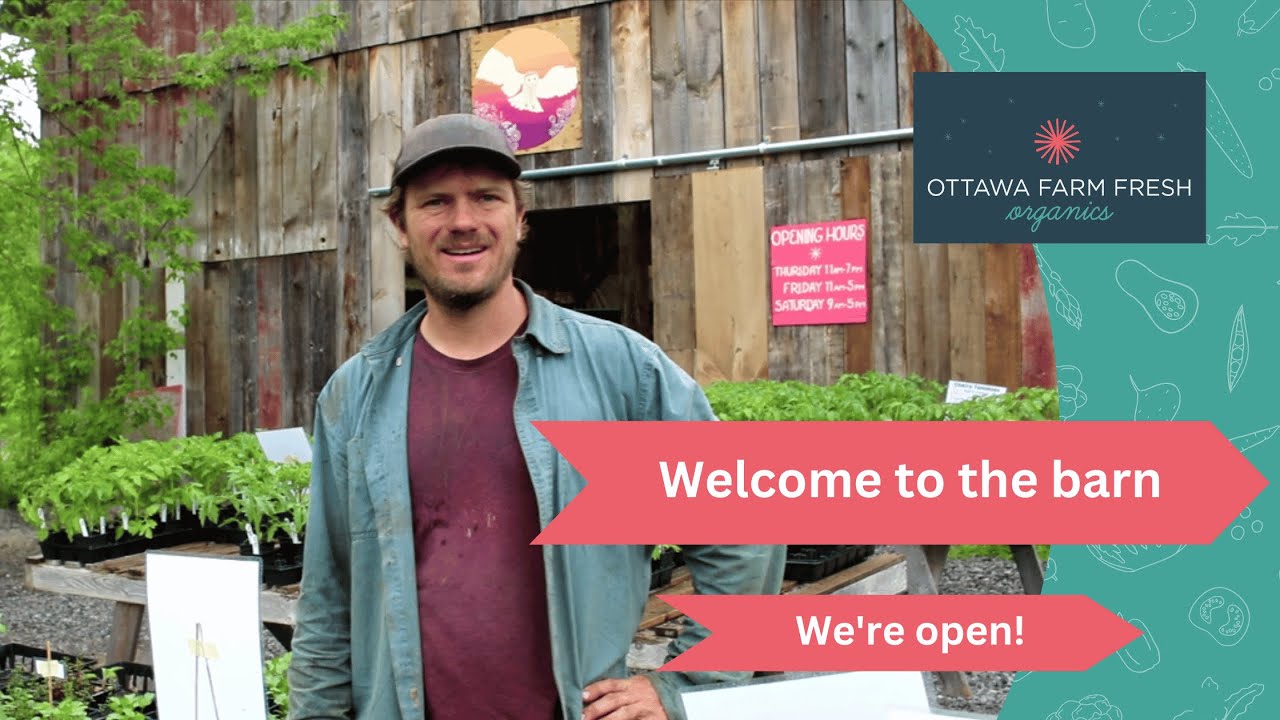 Welcome to the barn! Ottawa Farm Fresh - YouTube