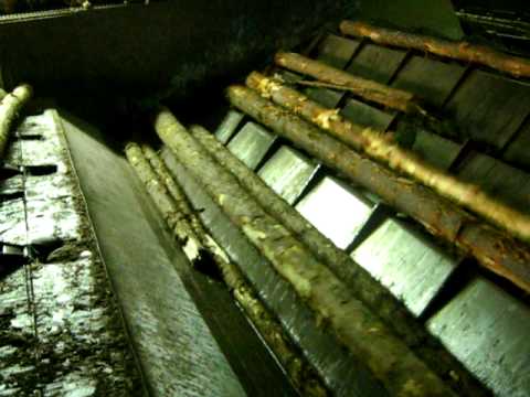 STEP FEEDER - YouTube