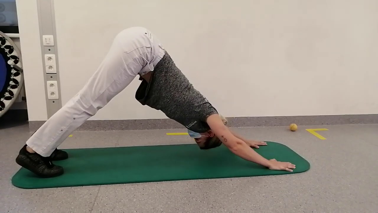 Downward dog to runners lunge, fire hydrants, prone pelvic raises - YouTube