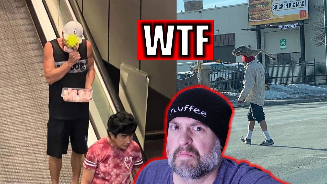 WTF is Happening in These Pictures!? #67 - YouTube