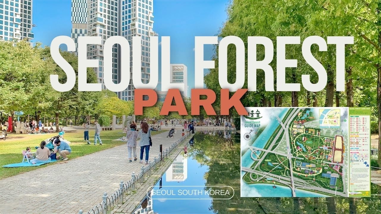 Exploring the Tranquil Beauty of Seoul Forest Park | South Korea Travel ...