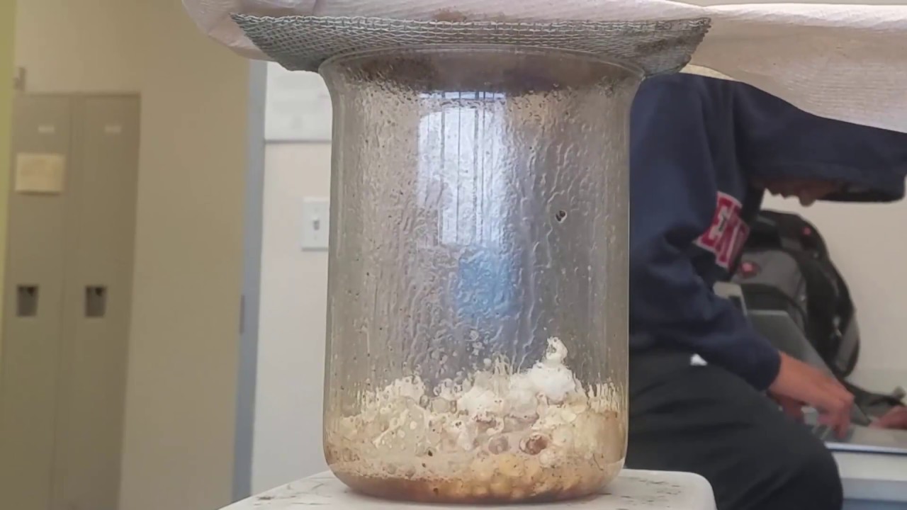 The Popcorn Particle Model - YouTube