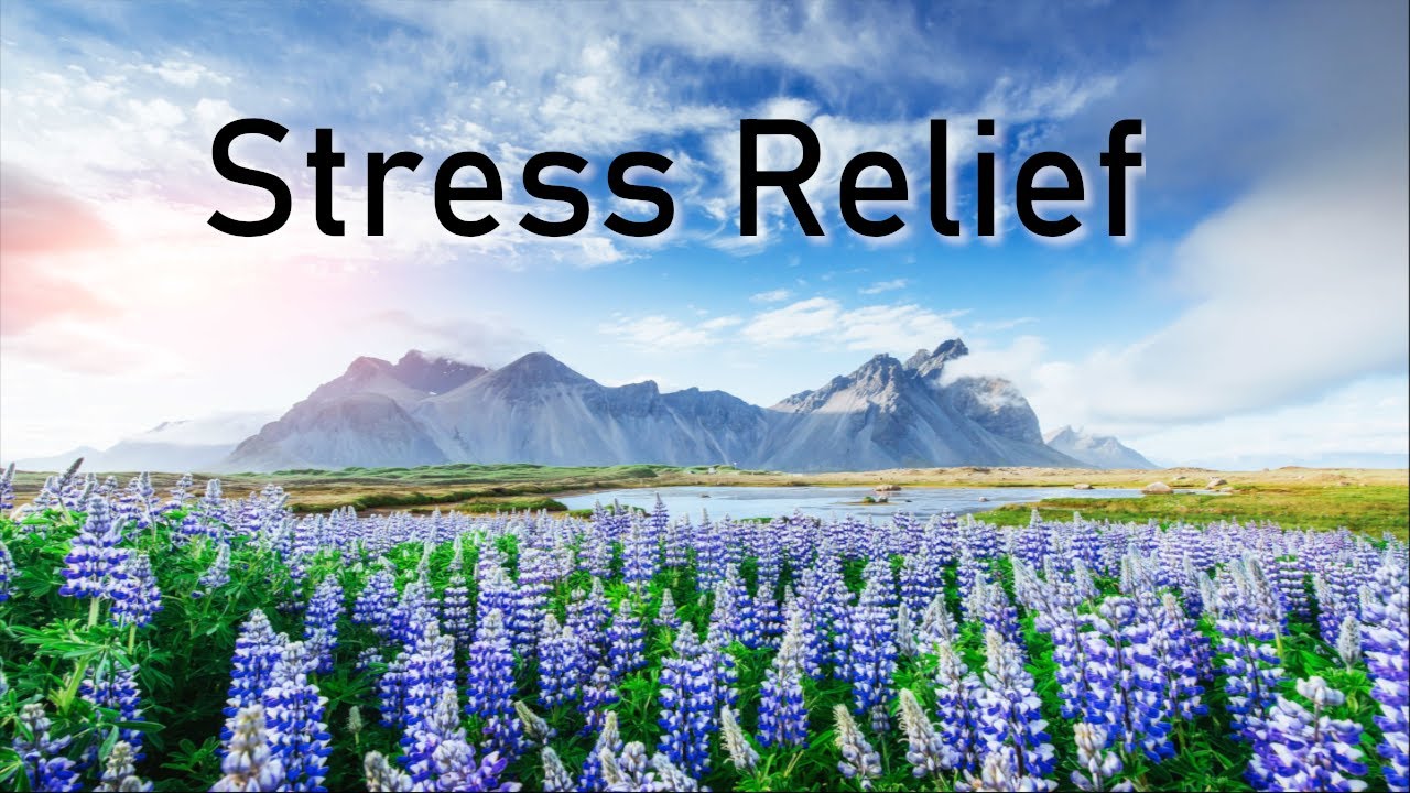 Stress Relief - Music Body and Spirit - (Full Album) - YouTube