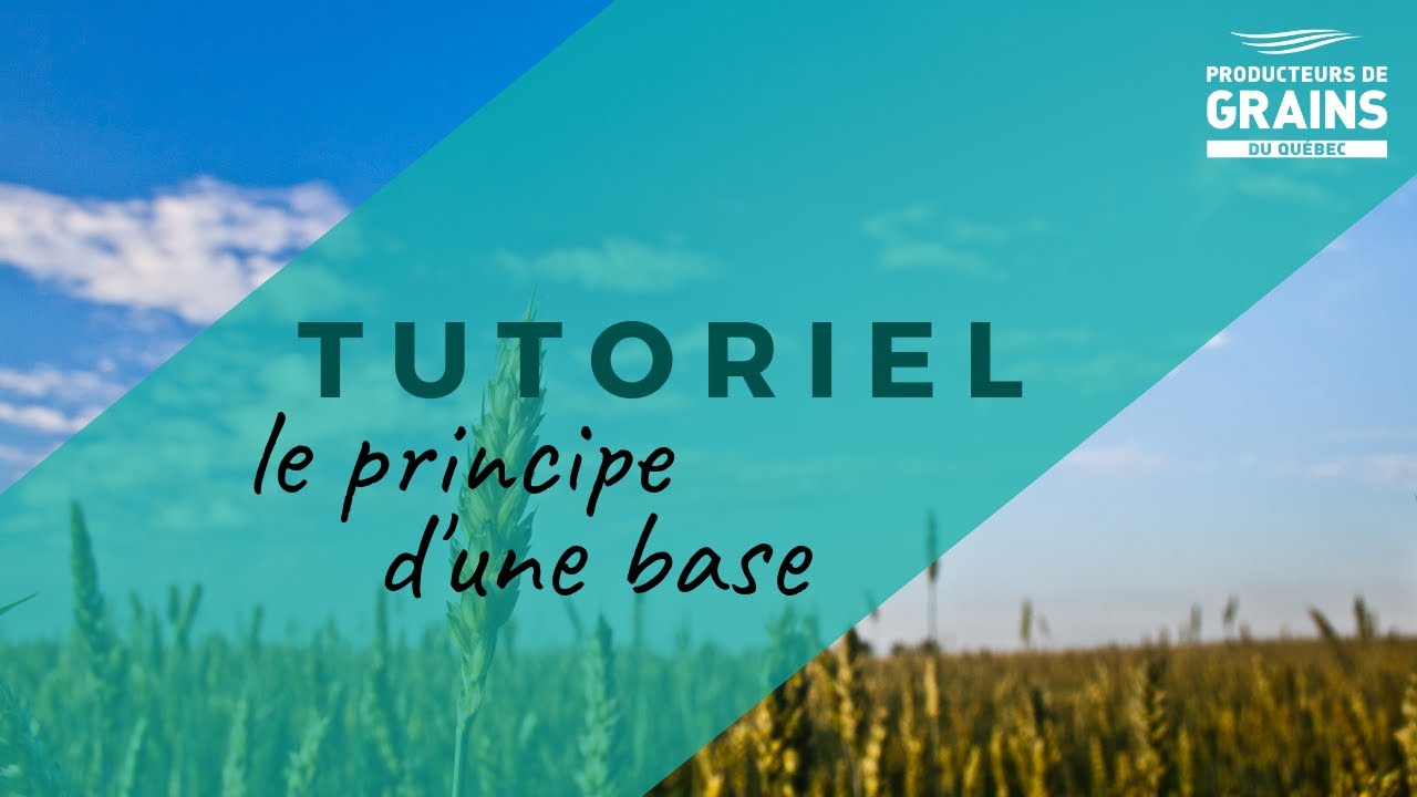 Tutoriel 3 - Le principe d'une base - YouTube