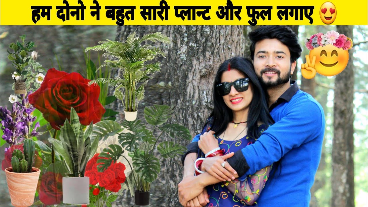 Aaj Bahut Sare Phool Ke Paudhe Laga Liye 🍁💐 Sunil Deepa Vlogs - YouTube