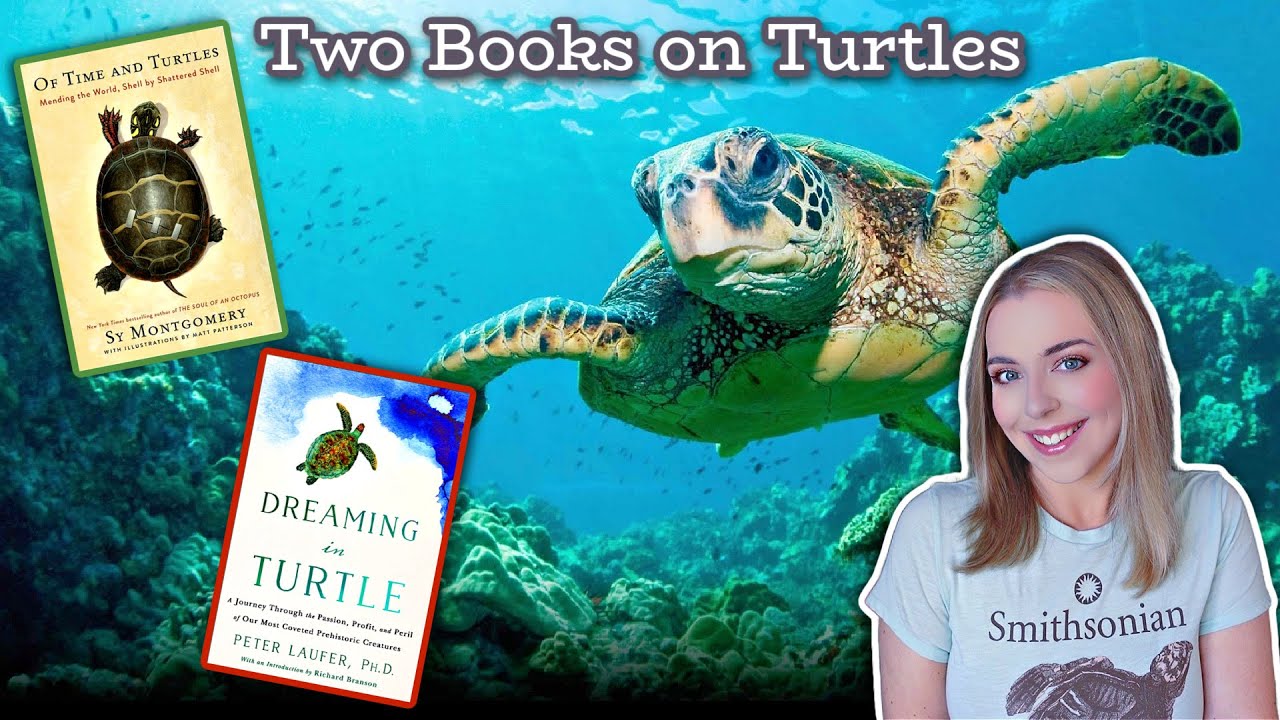 🐢 Of Time and Turtles and Dreaming in Turtle | Book Reviews | 2 Books ...