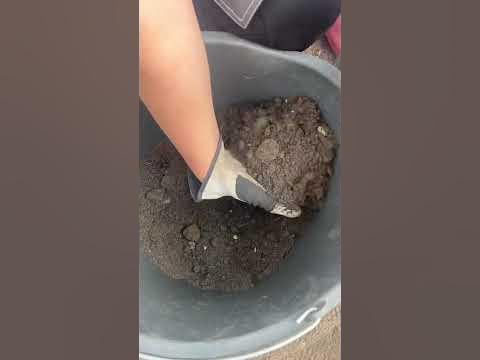 готовим грунт для огурцов #сад #огород #дача - YouTube