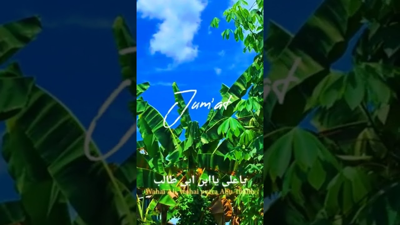 hb bb bb 😭😭😭😭😭😭n bb bb 😭😭😭😭😭bbbbb hb b - YouTube