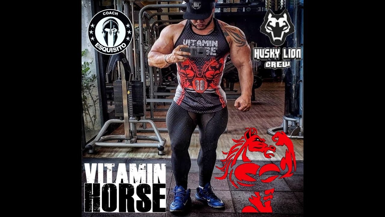 Husky Lion - Vitamin Horse ♪ - YouTube