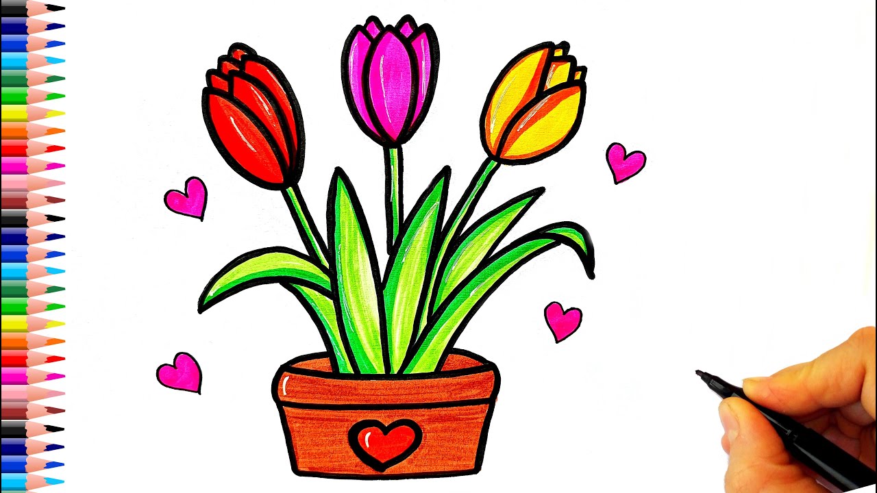 Saksıda Lale Çizimi 🌷 Lale Nasıl Çizilir? - How To Draw A Tulip In A ...