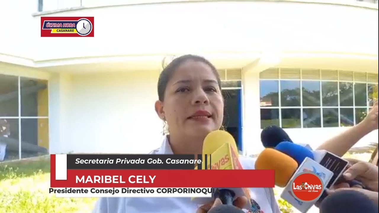 Doris Bernal Cárdenas, reelegida en Corporinoquia - YouTube