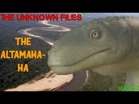 The Unknown Files: The Altamaha-Ha - YouTube