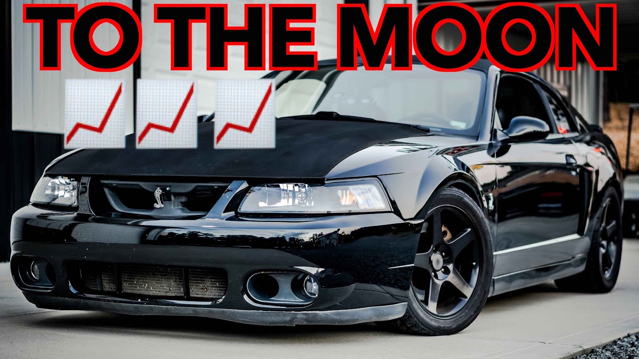 Terminator Cobra Prices Just Skyrocketed and Here is Why... Wow - YouTube