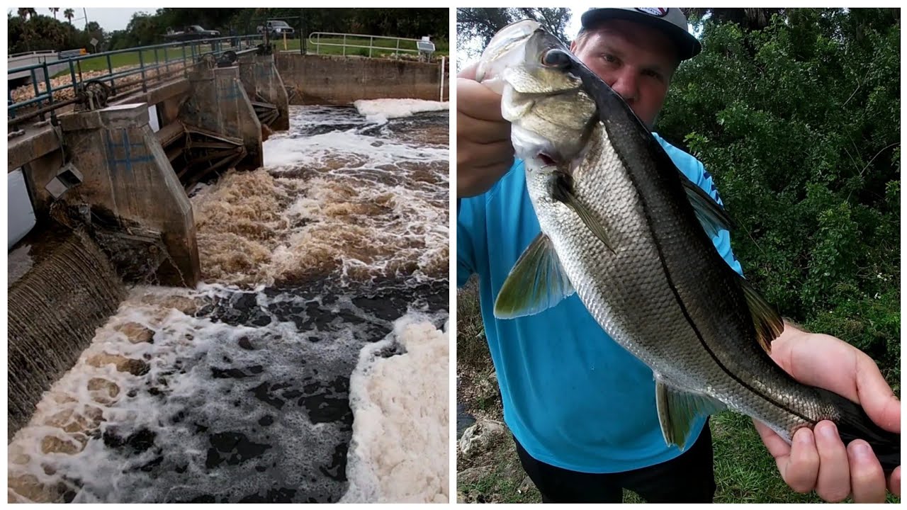 South Florida Spillway Fishing #freefire #fyp #fishing #youtube - YouTube