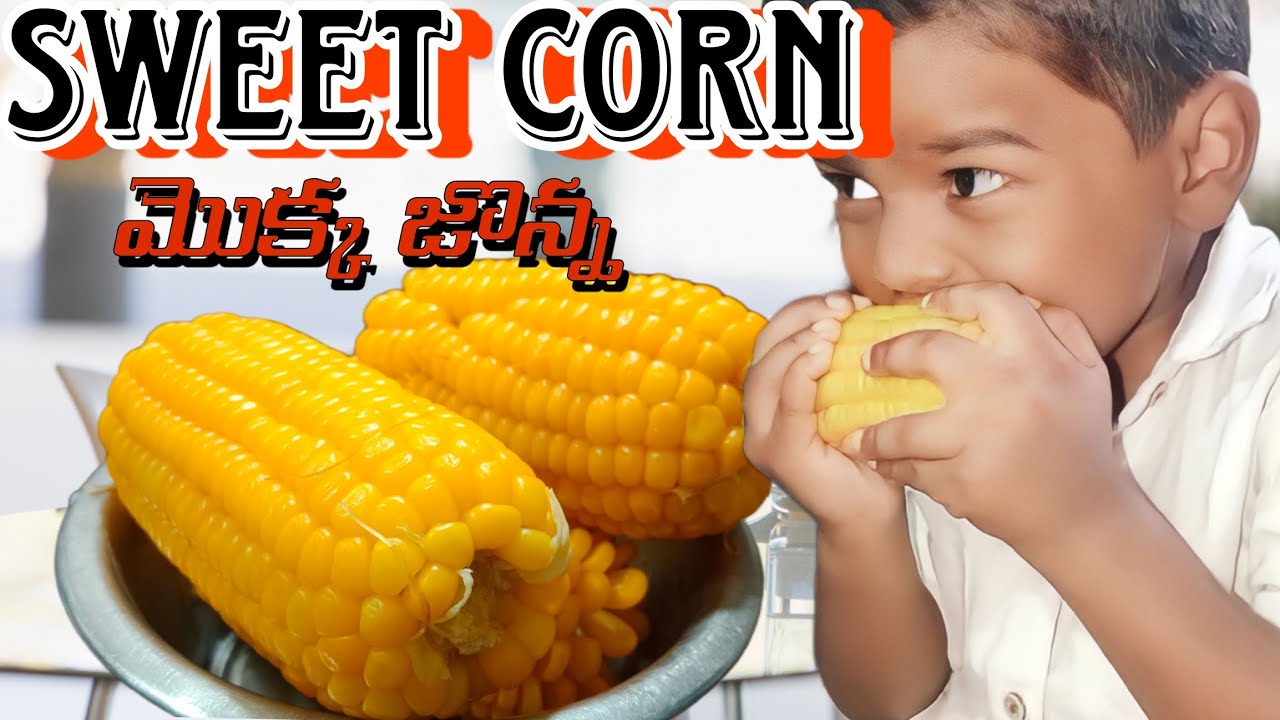 sweet corn|మొక్క జొన్న|వర్షం లో సాత్విక్ వేడి వేడి మొక్క జొన్న# ...