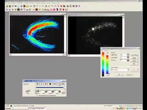 Intensity Per Track Tutorial - Image-Pro Plus Software - YouTube