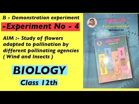 practical 4: Study of flowers adapted pollination Answer / 12th Biology ...