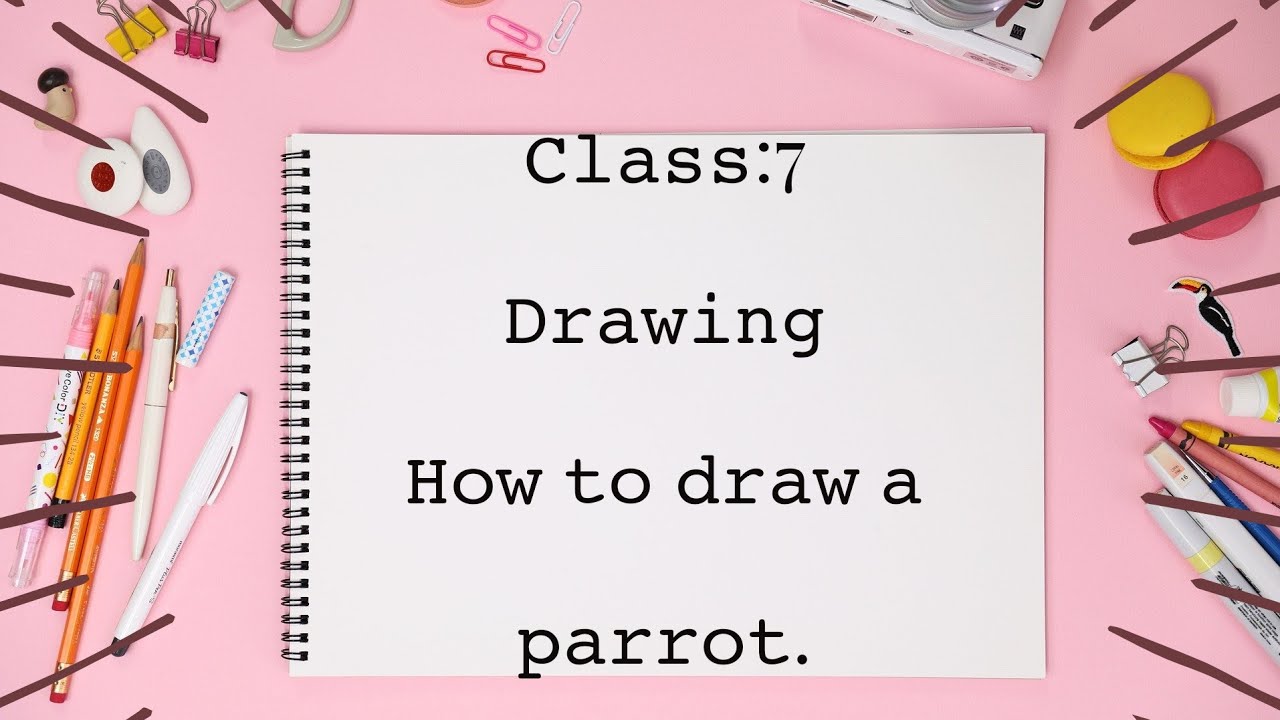 Class:7 // drawing // how to draw a parrot. - YouTube