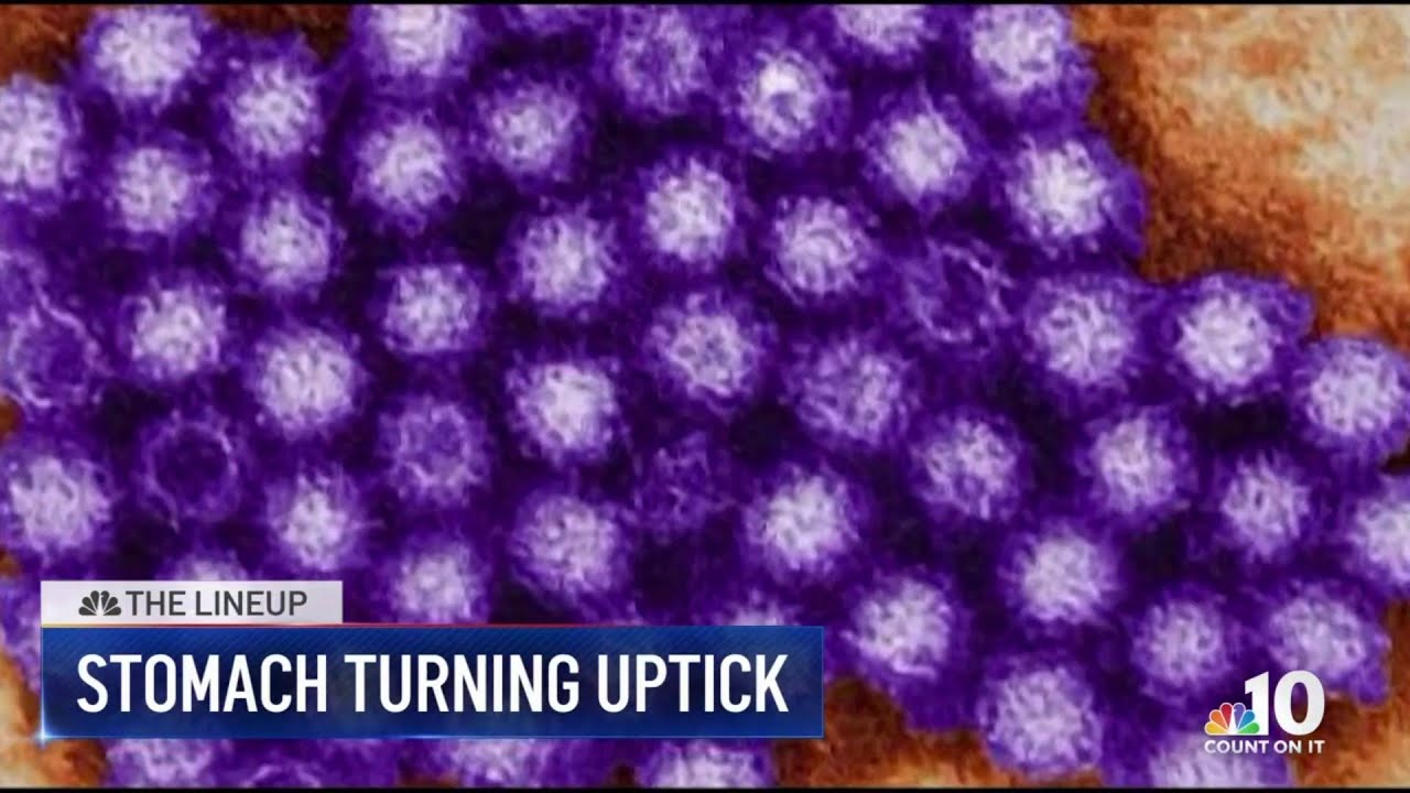 Stomach-turning uptick: The Lineup - YouTube