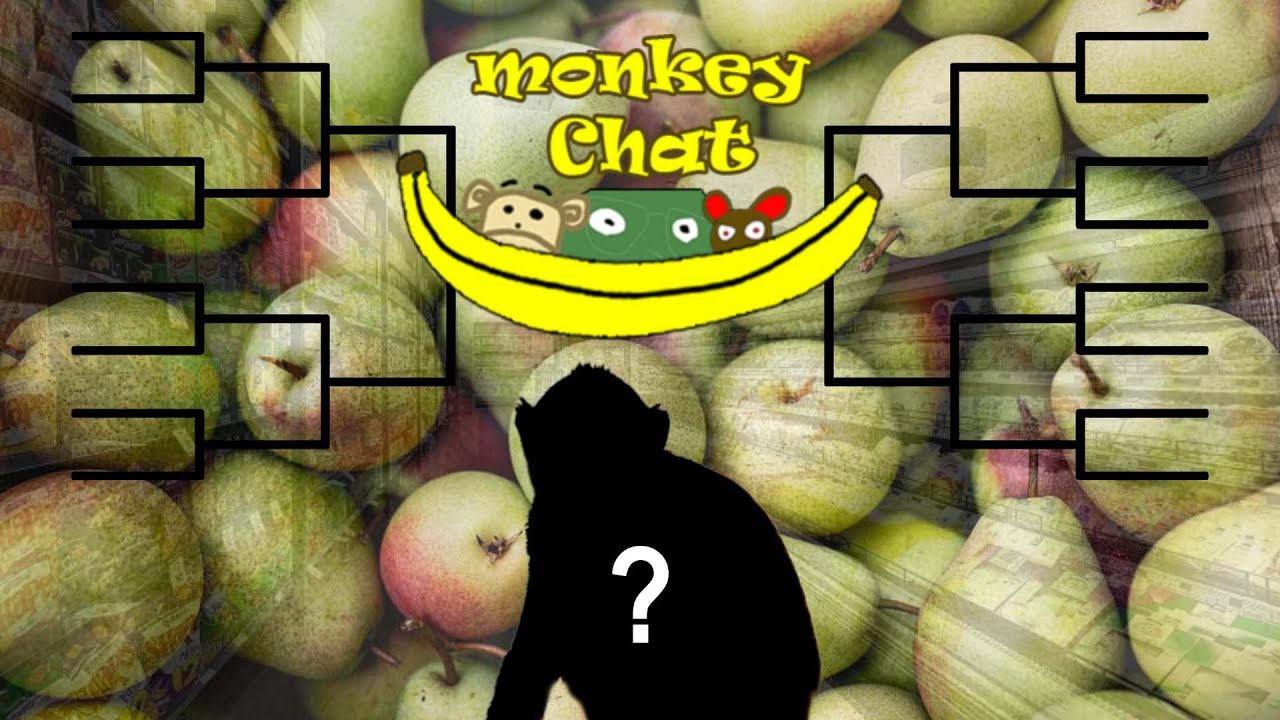 Monkey Madness in Aisle 23 - Monkey Chat - YouTube