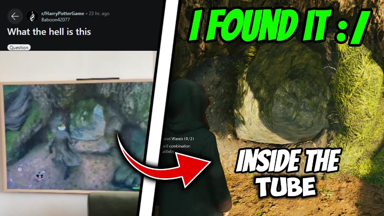 Freecam into this Weird Tube on a Tree - Hogwarts Legacy - YouTube