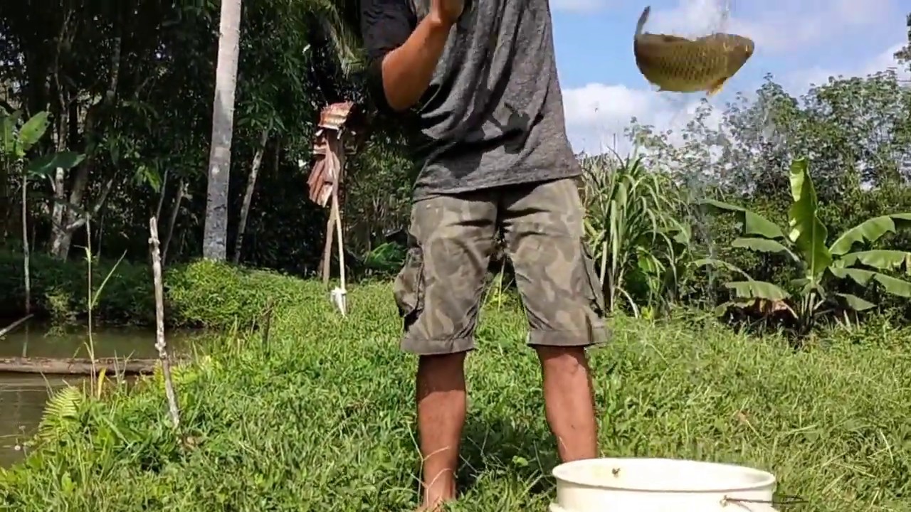 Best fishing technique - fishing bom net ||daily village life - YouTube