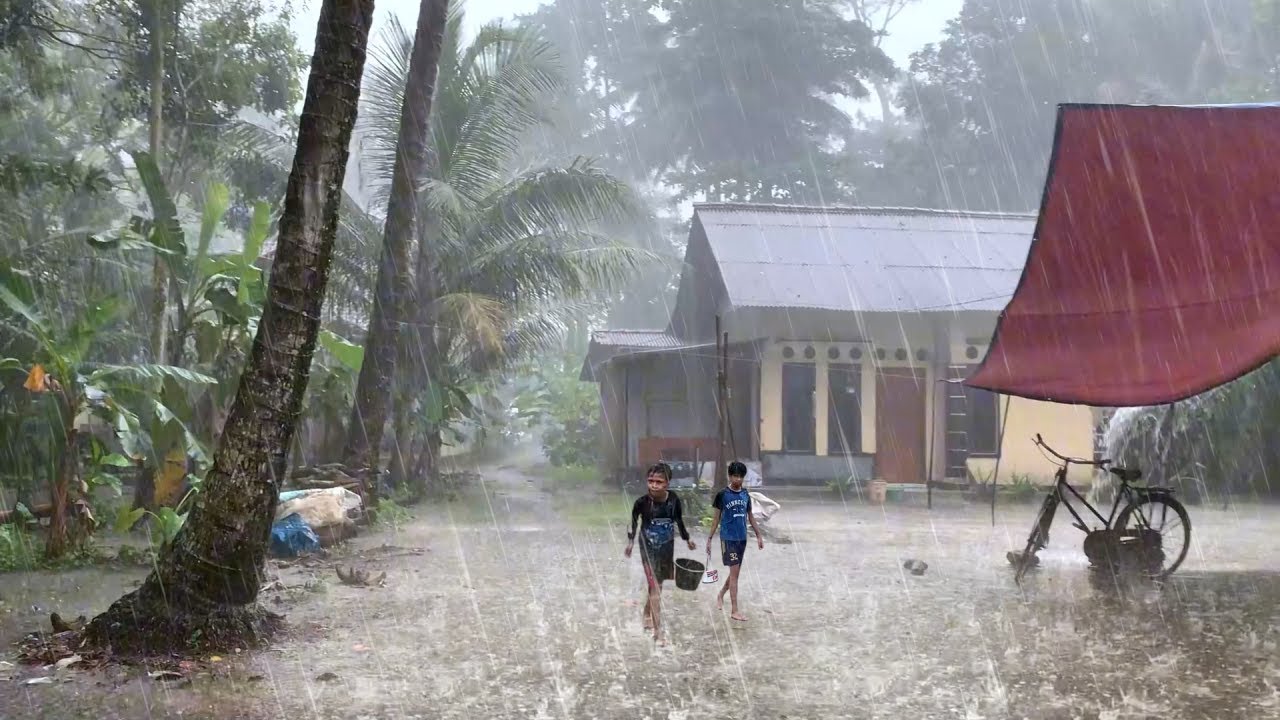 99% Natural Thunder and Rain Walk | Village Storm Ambience for Deep ...