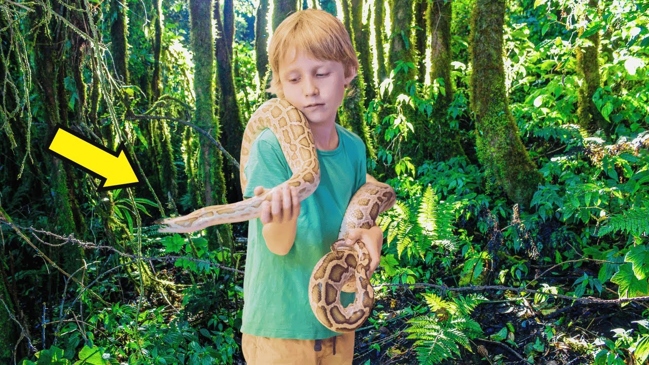 Boy (8) Finds a 23-ft Snake in the Forest – What Happens Next Will ...