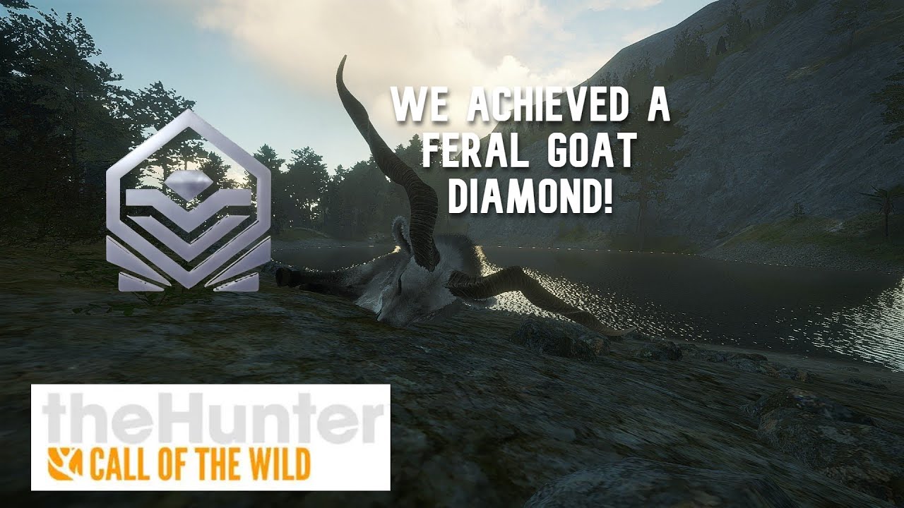 FIRST DIAMOND FERAL GOAT IS HERE!! - YouTube