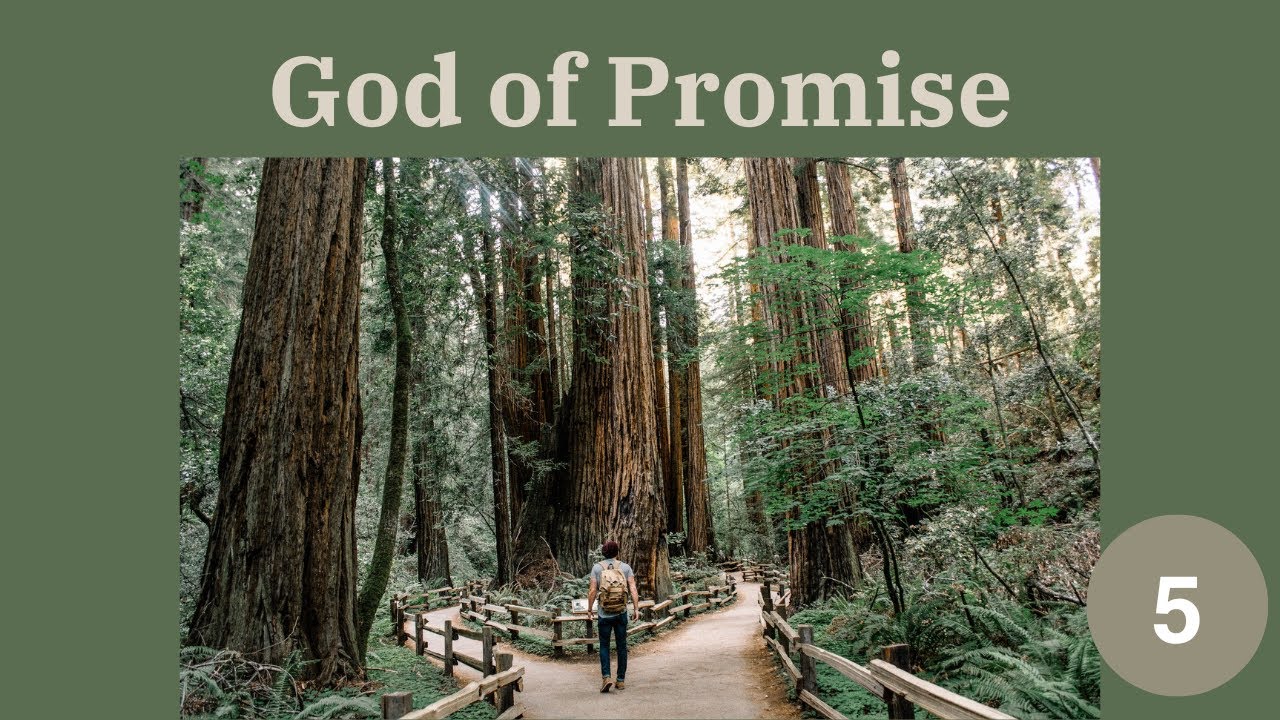God of Promise | The Davidic Covenant - YouTube