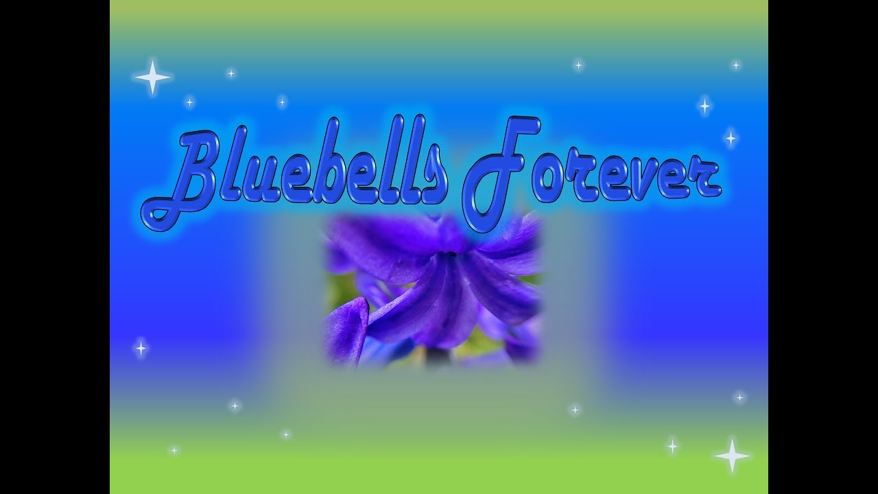 #Bluebells Forever! #Relaxing #chillout to this beautiful walk through ...