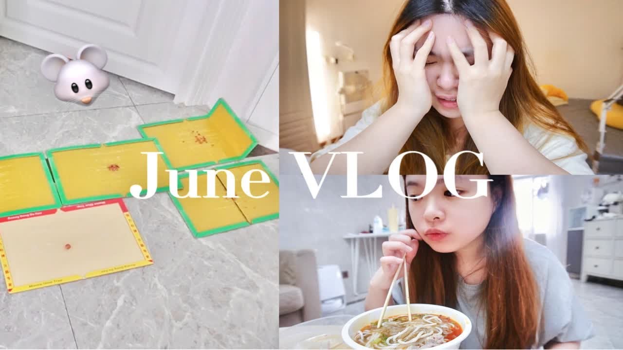 VLOG|Jun.daily 澳门突发疫情我家进老鼠 崩溃的一周！日常生活 - YouTube