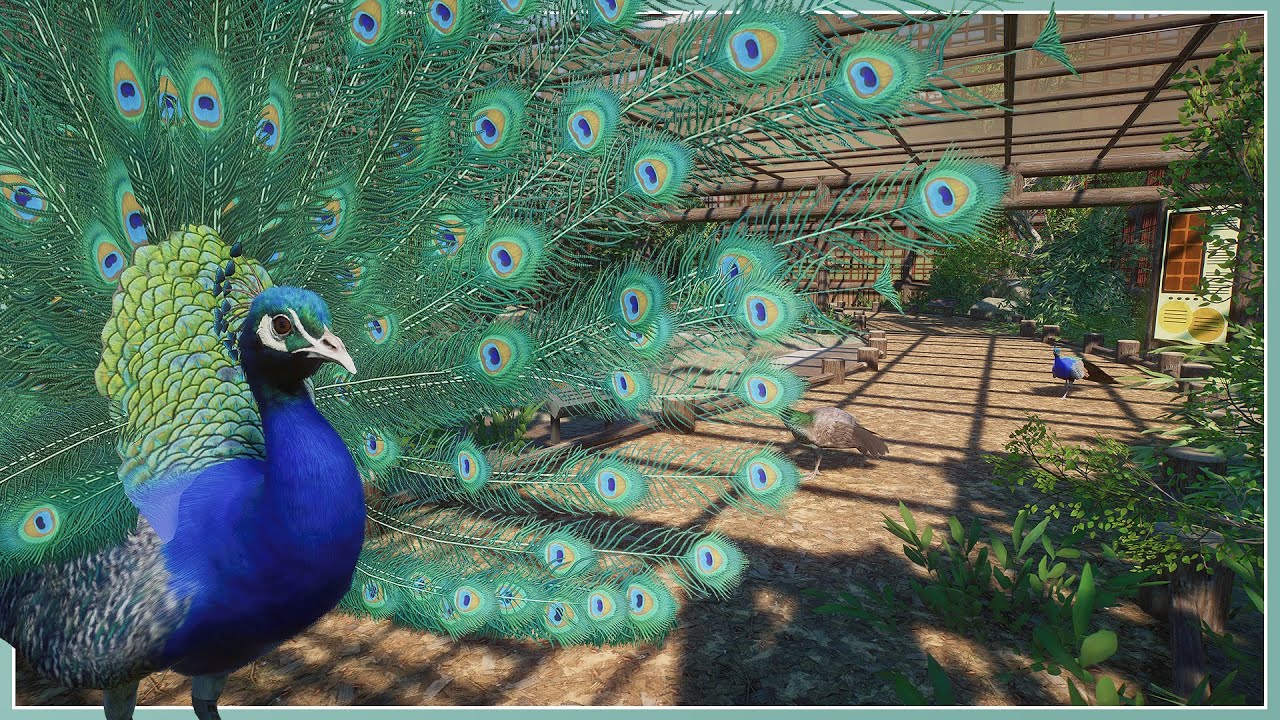 Indian Peafowl Habitat - Sequora Zoo | Planet Zoo Speed Build - YouTube