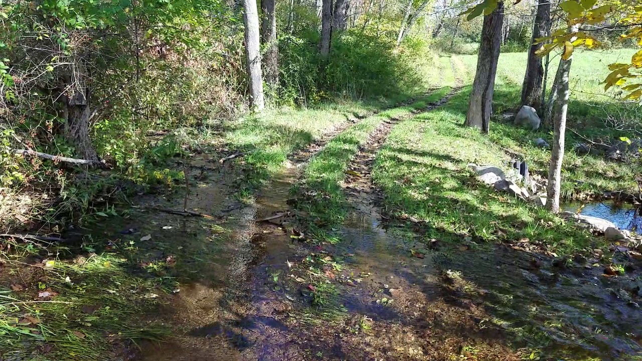 Damn Beaver Dam - YouTube