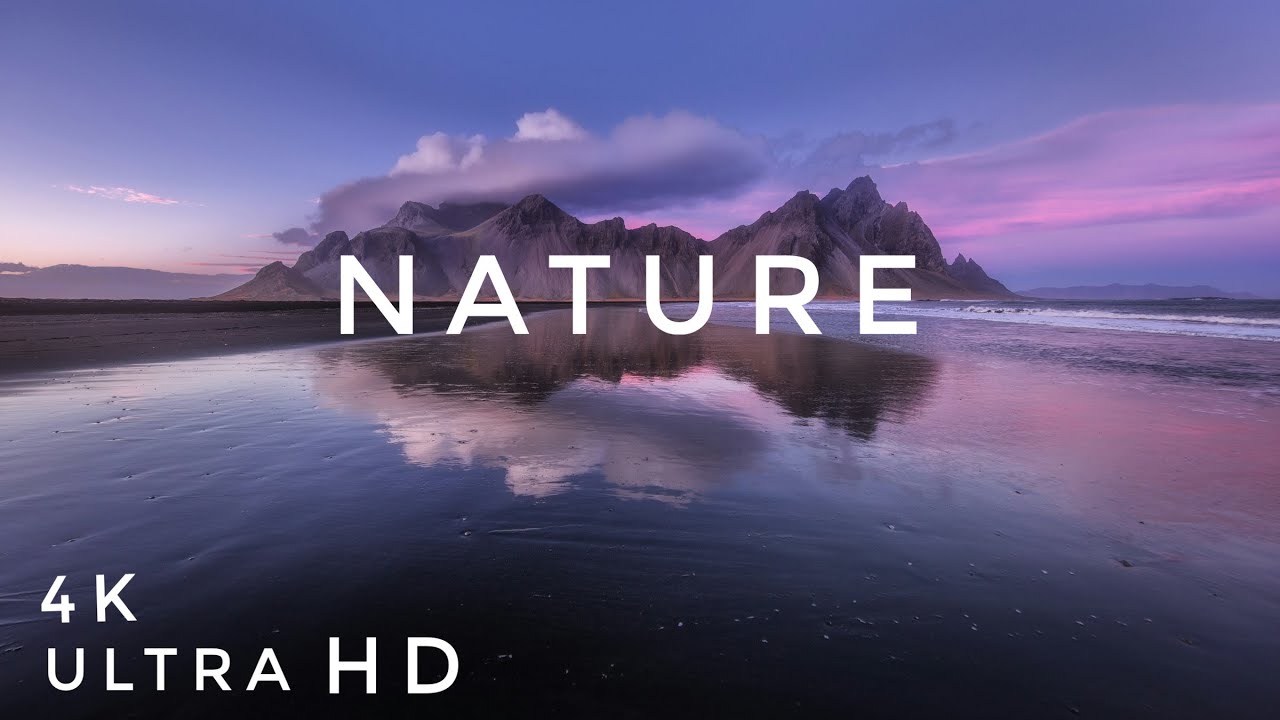 Nature Cinematic Video | 4K Ultra HD Video - YouTube