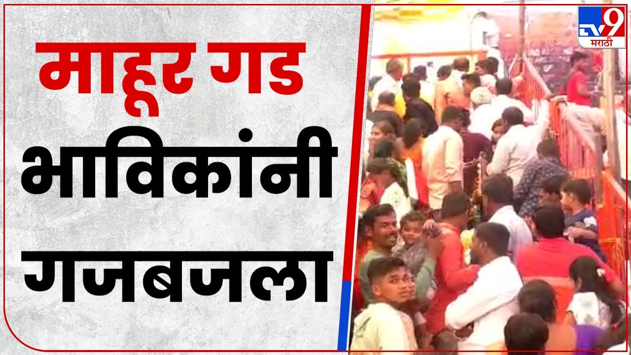 Mahur Renuka Mata Temple Crowd : रेणुका माता मंदिरात भाविकांची तुफान ...