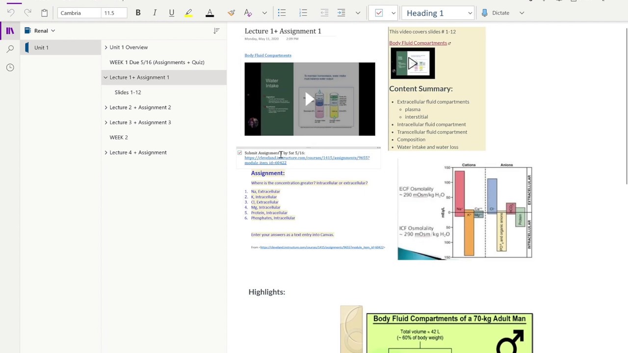 Tips for staying organized using OneNote - YouTube