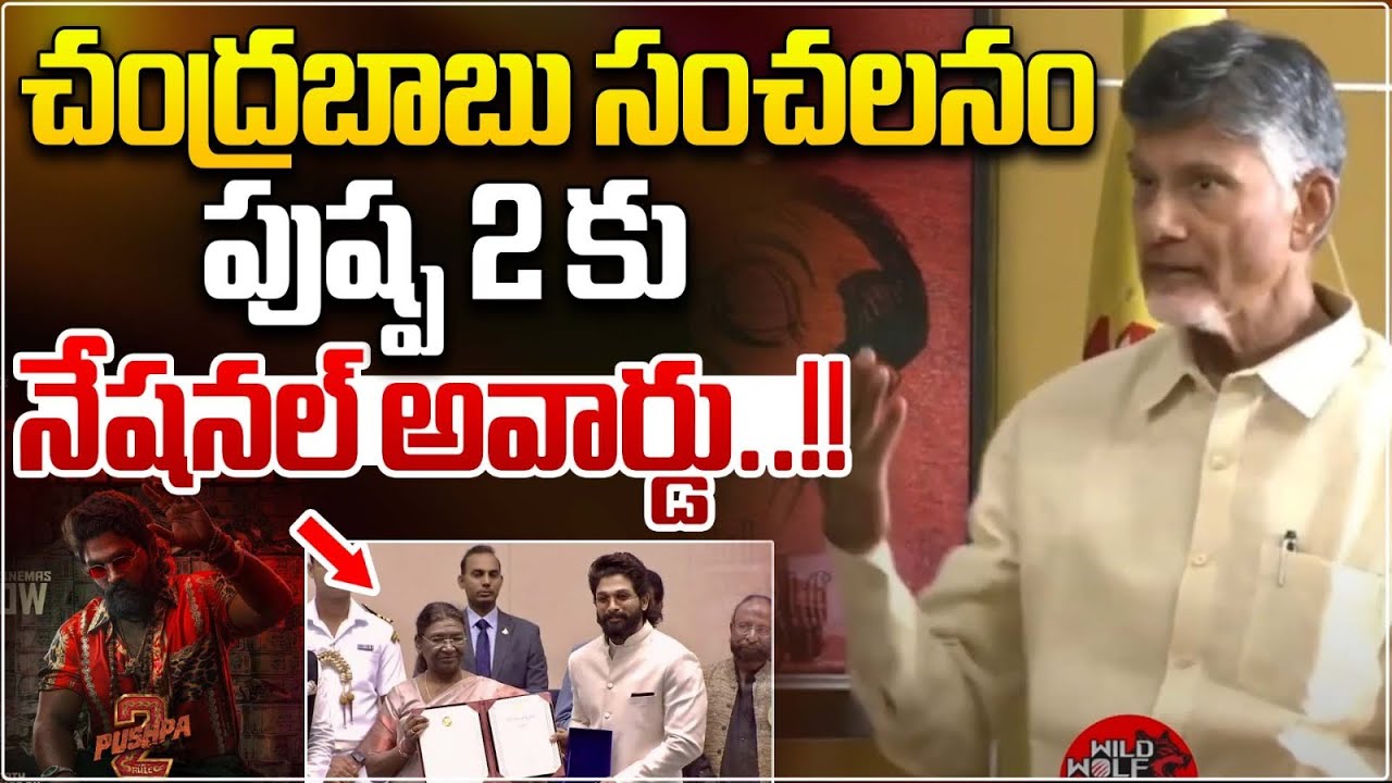 పుష్ప 2 సినిమాకు నేషనల్ అవార్డు | CM Chandrababu Sensational | Allu ...