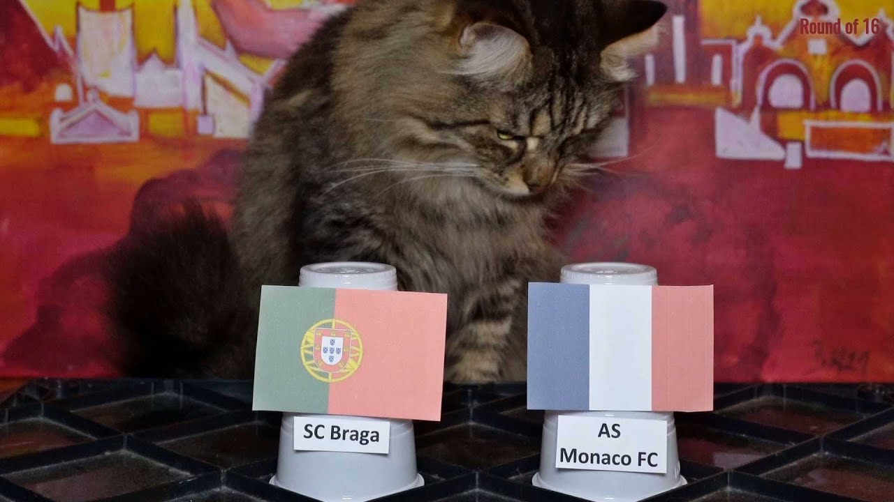 SC Braga Vs AS Monaco - Cats Europa League 2021/22 Prediction - YouTube