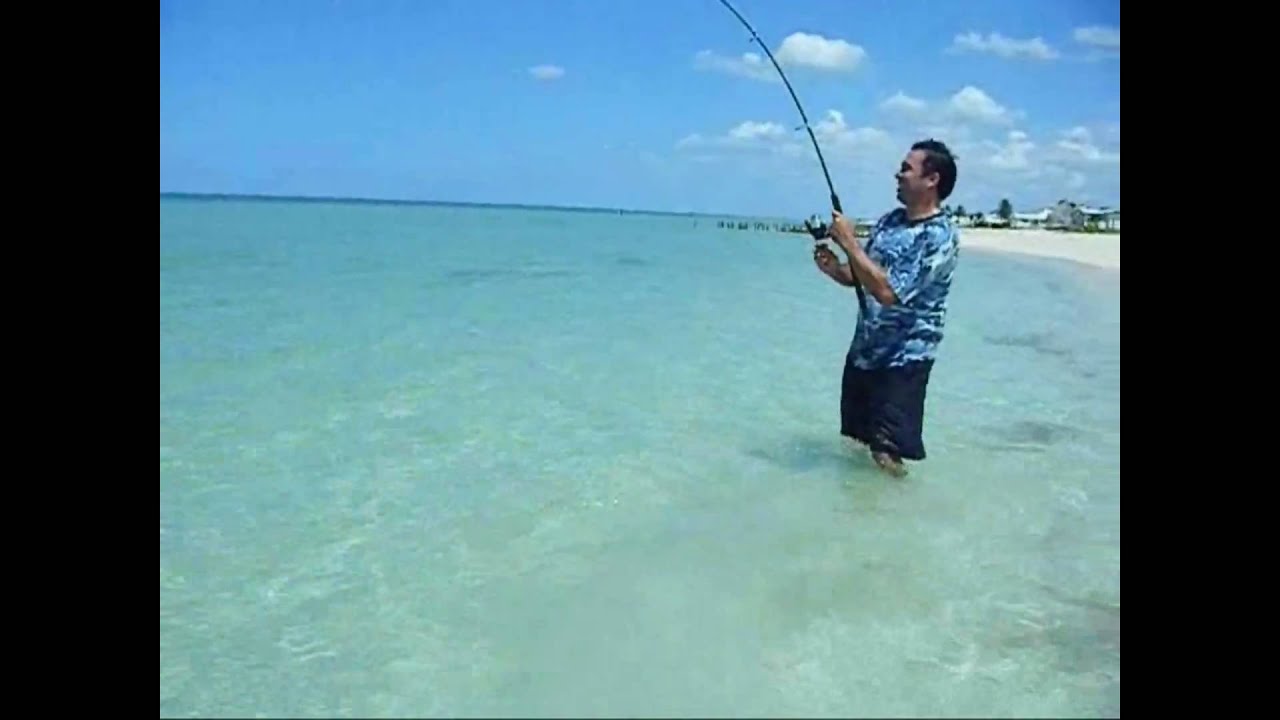 Pesca de mantarraya en playa de Chelem - YouTube