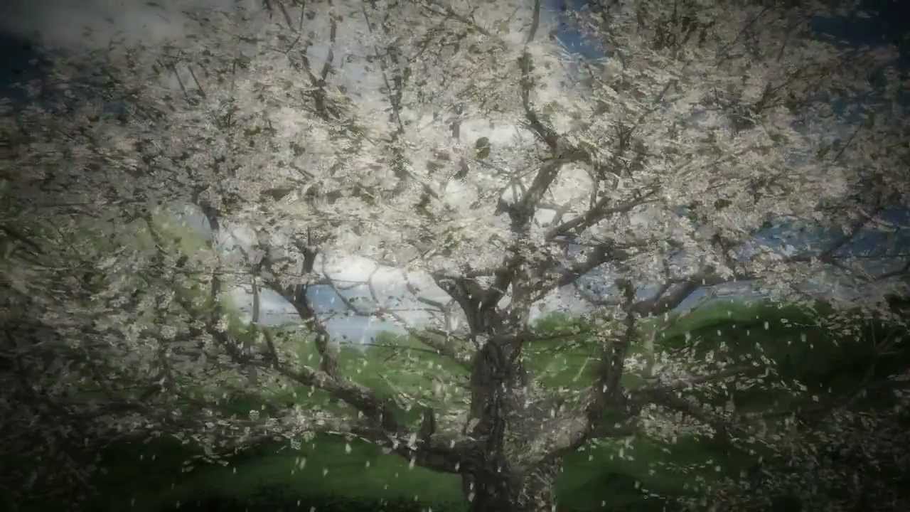 NHK Taiga Drama[Yae no Sakura main theme] - YouTube