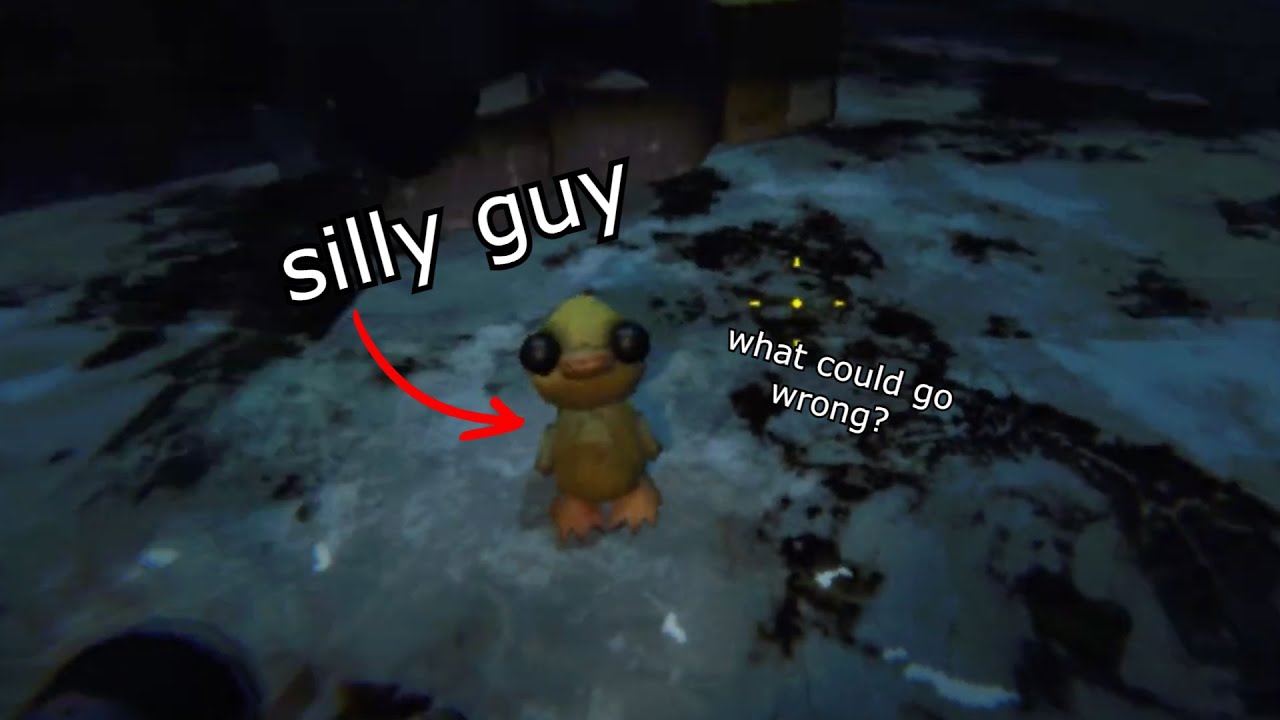 the duck. - YouTube