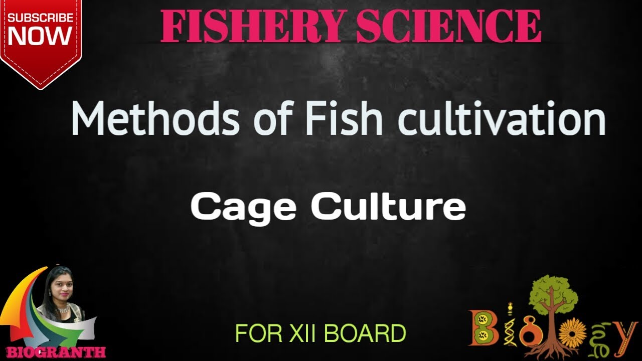 Cage Culture | Methods of Fish Cultivation | 12th Fishery Science ...