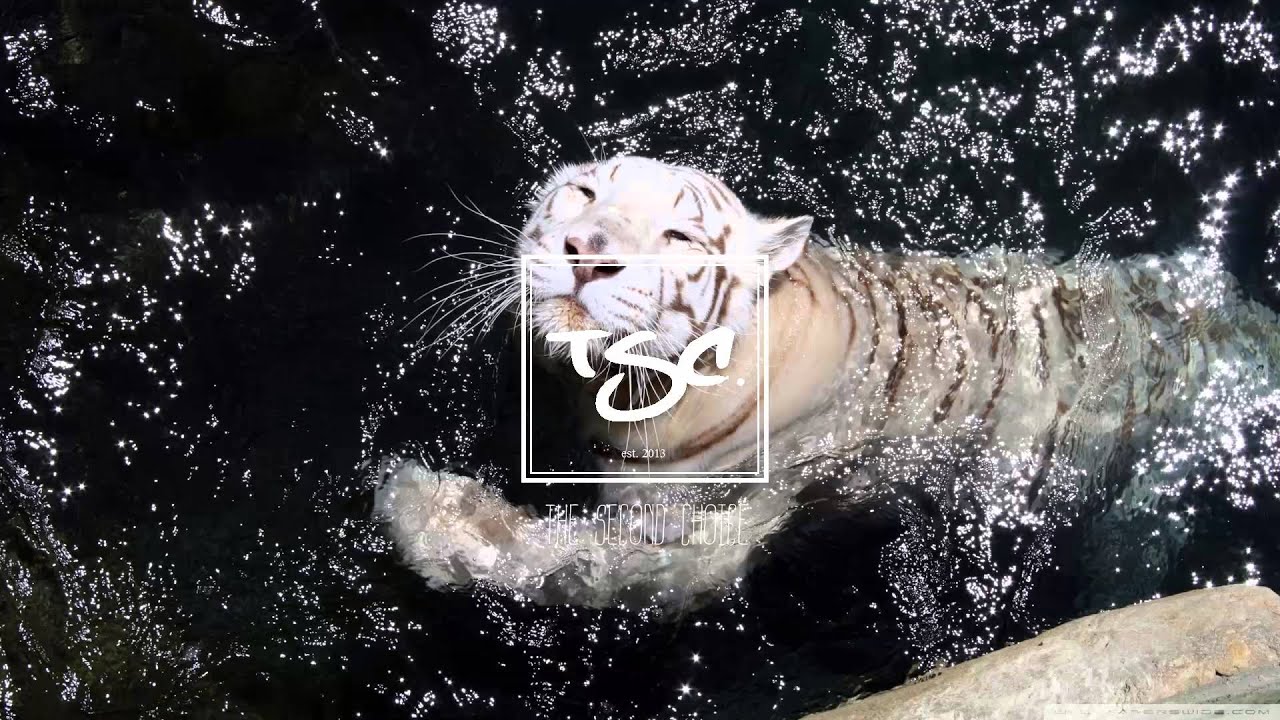 Izzy Bizu - White Tiger (Wantigga Remix) - YouTube