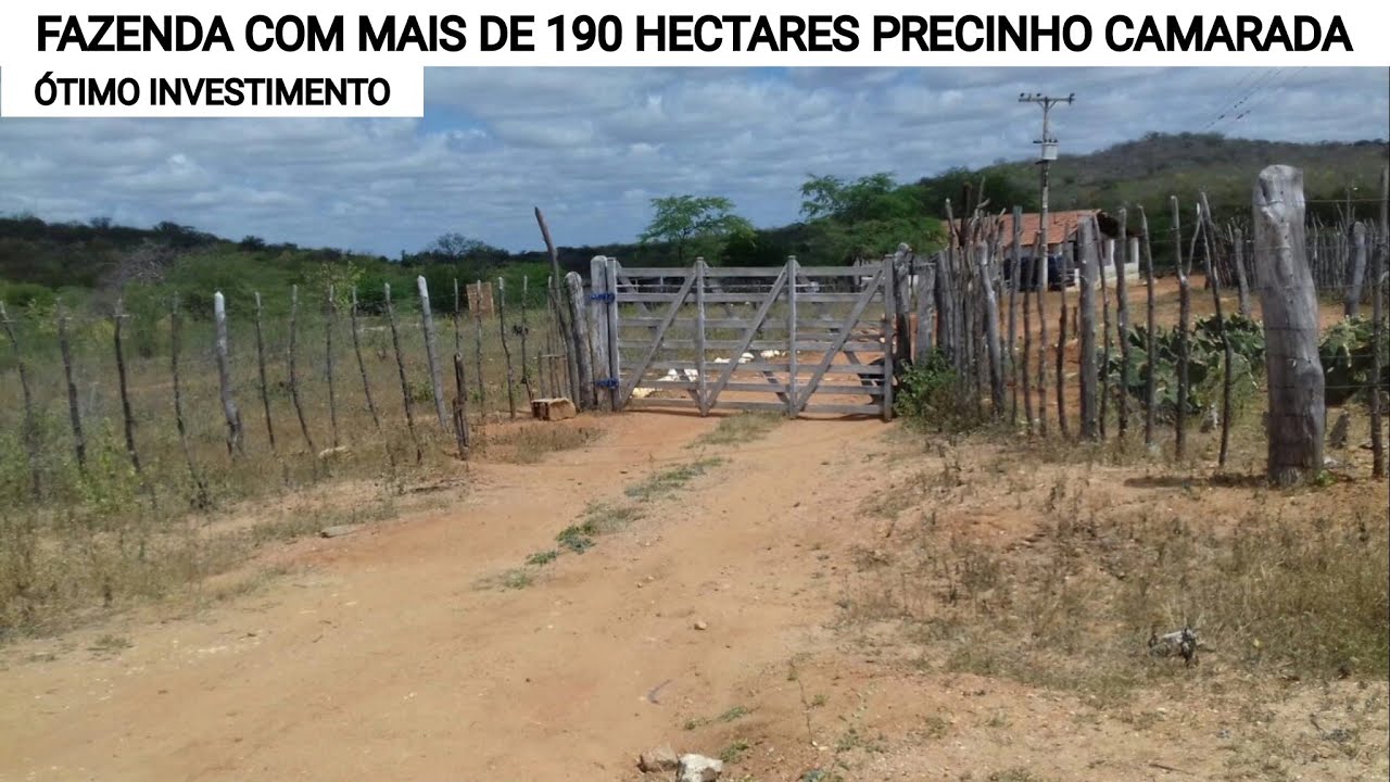 FAZENDA À VENDA EM SERTÂNIA PE REGIÃO NORDESTE DO BRASIL COM MAIS DE ...