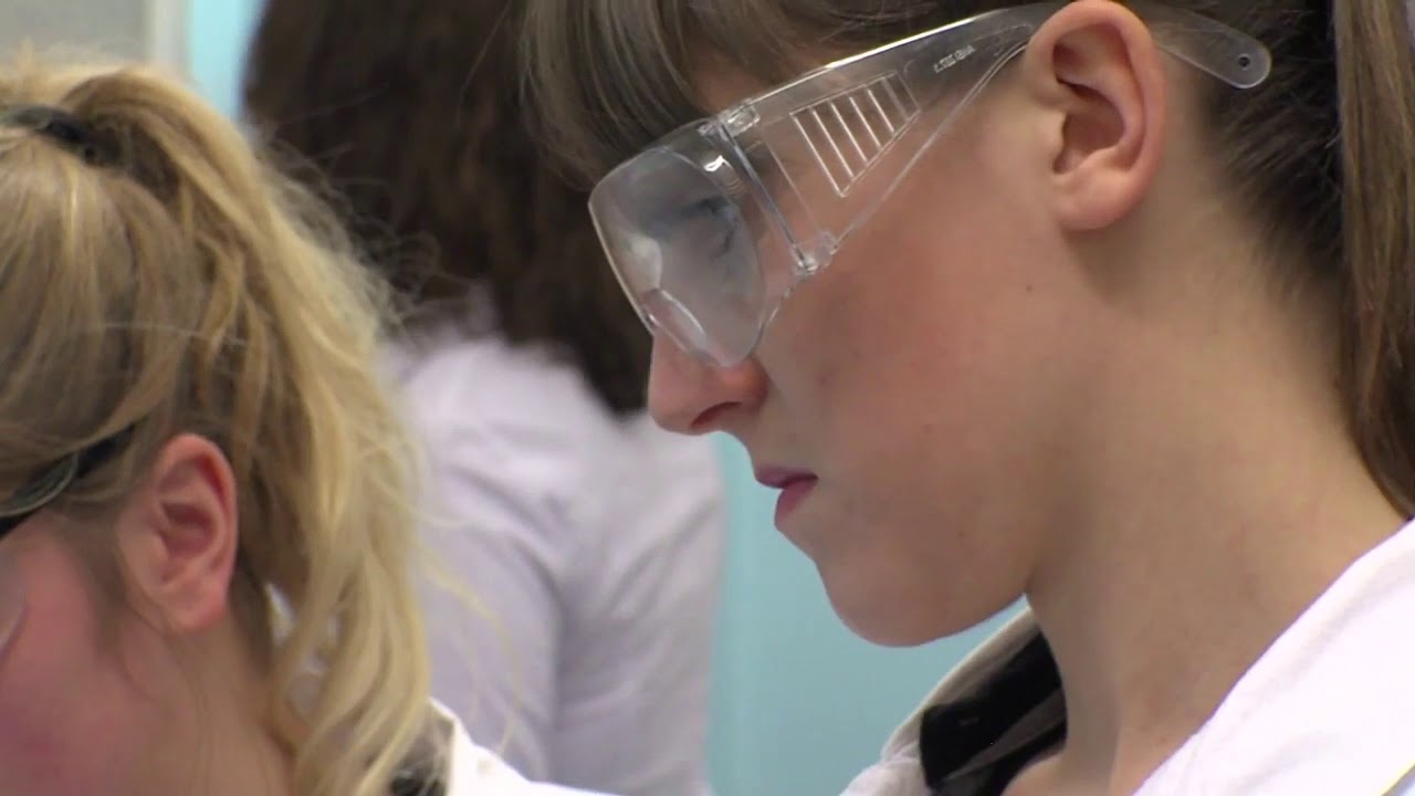 Medicine at Andrzej Frycz Modrzewski Krakow University - YouTube