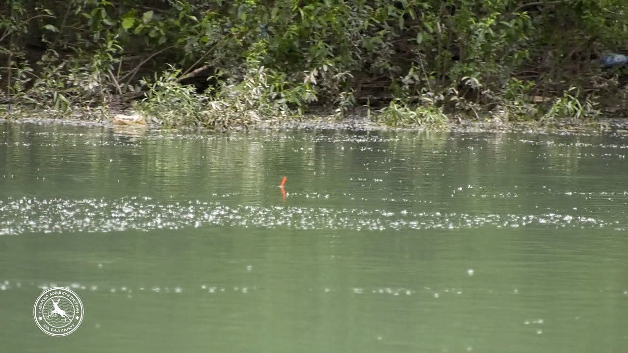 Ribolov na bojnik - reka Radika 1 del #fishing #ribolov #radika - YouTube