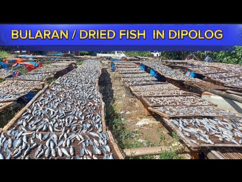 BULARAN IN DIPOLOG / DRIED FISH IN DIPOLOG CITY / QBhecz PH - YouTube