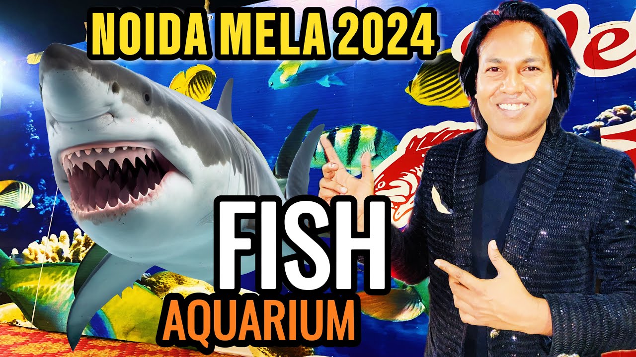 Fish Aquarium in Noida mela 🎡 ll Noida sector 12 22 mai - YouTube